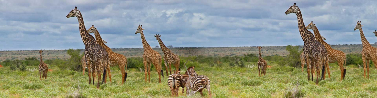 Ibanda-Kyerwa National Park | Ibanda National Park | Tanzania safaris