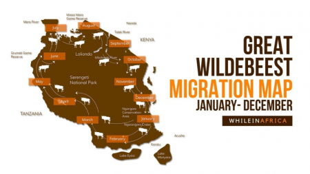 Wildebeest Migration Routes | Serengeti National Park | Tanzania Tours