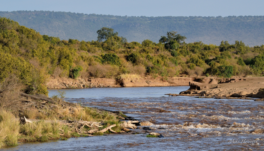 Mara River | Serengeti National Park Migration | Tanzania Safaris Tours