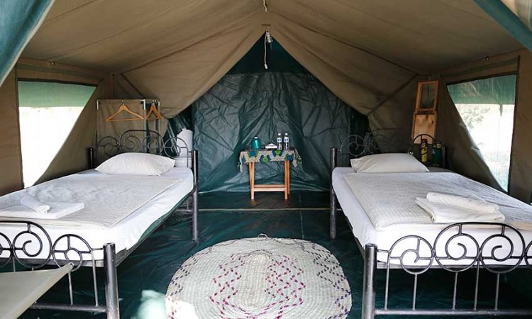 Flycatcher Ruaha Camp | Ruaha Natonal Park | Tanzania Safaris