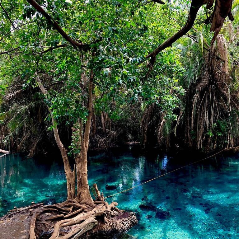 Chemka Hot Springs | Kikuletwa Hot Springs | Tanzania Day Trips