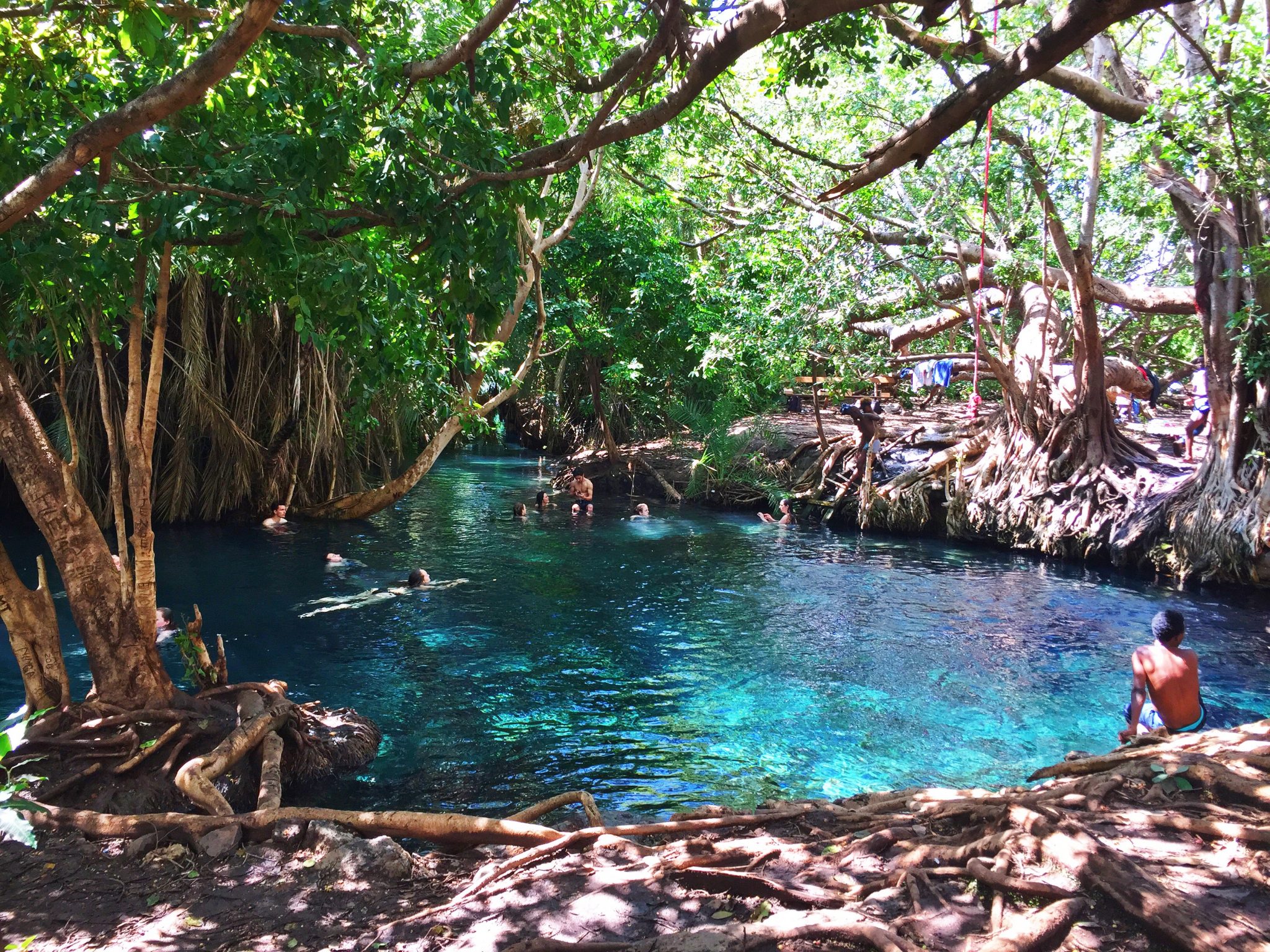 Chemka Hot Springs | Kikuletwa Hot Springs | Tanzania Day Trips