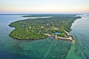 Why Mafia Island Should be on your African Travel Wish List | Tanzania