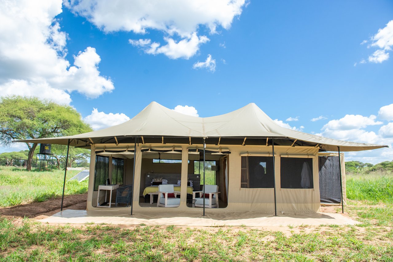 Lolkisale camp | Tarangire National Park | Tanzania Safaris Tours