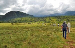 Don’t miss katavi national park’s adventures | Tanzania Safaris Tours