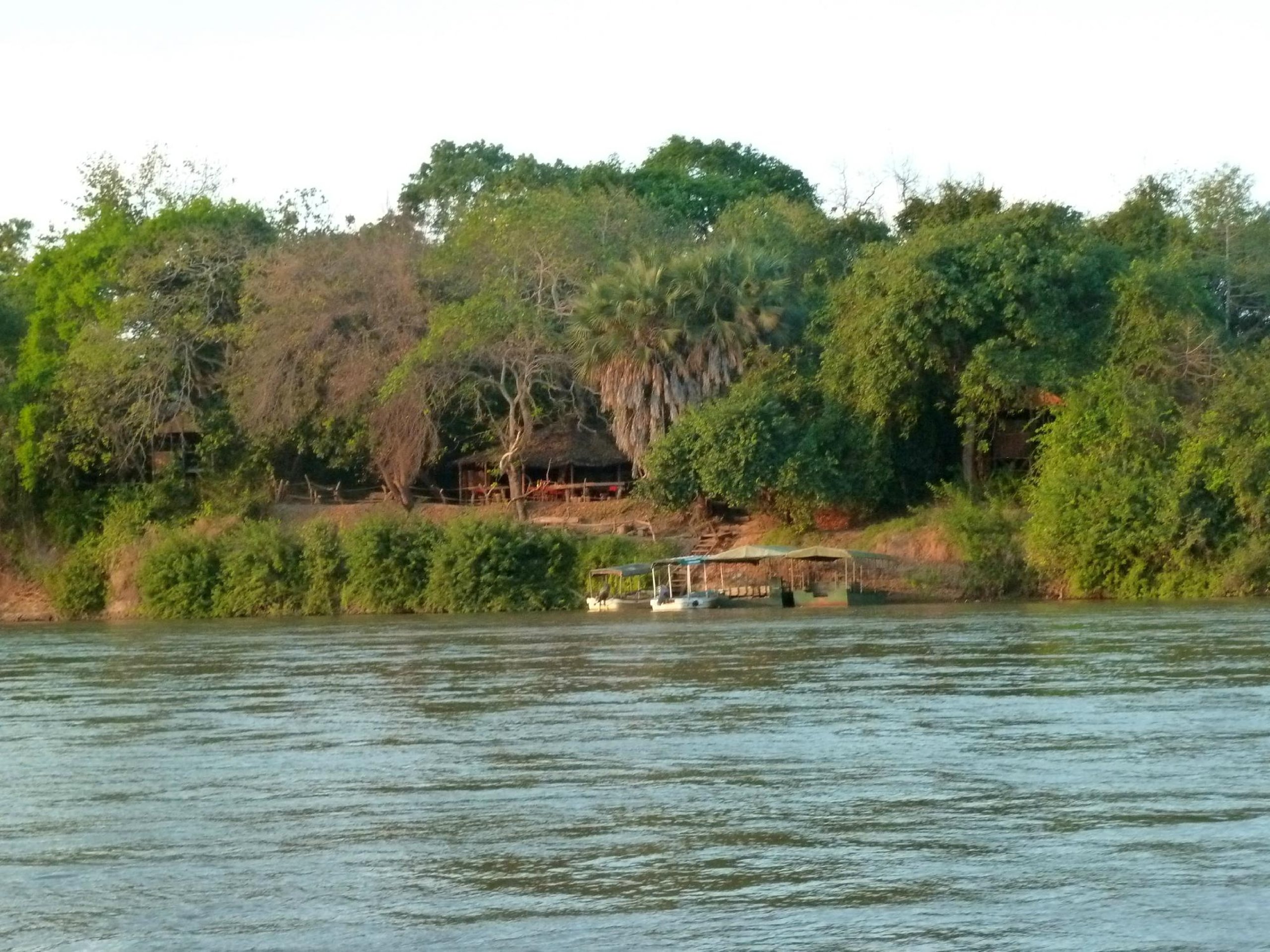 Selous Adili Forest camp | Selous Game Reserve | Tanzania Safaris