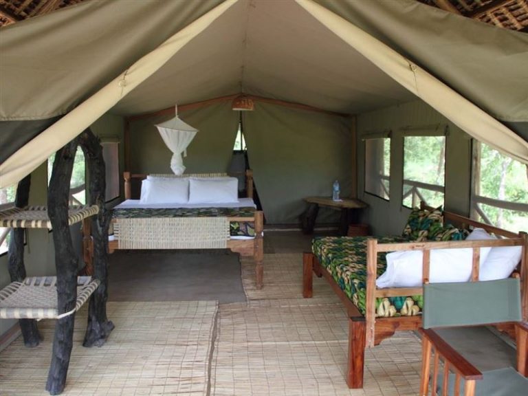 Angalia tented camp | Mikumi national park Tanzania | Tanzania