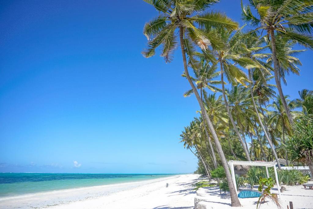 Top 10 Reasons to Visit Bwejuu Beach Zanzibar | Zanzibar Island