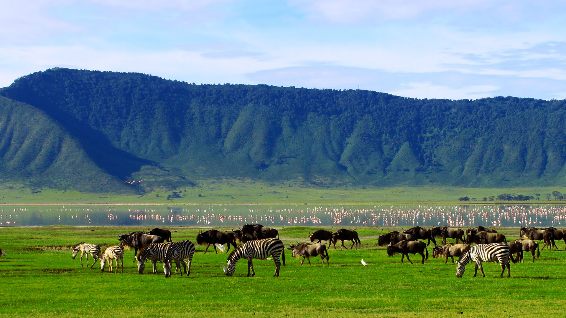 Ngorongoro Crater | Tanzania Safaris | Focus East Africa Tours