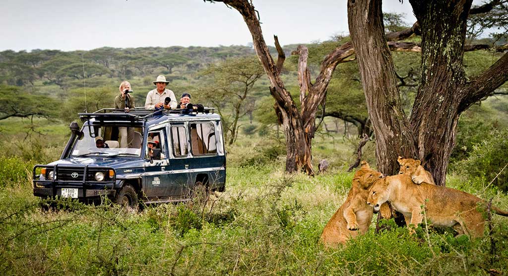 Tourism Activities in Ugalla River National Park | Tanzania Safaris